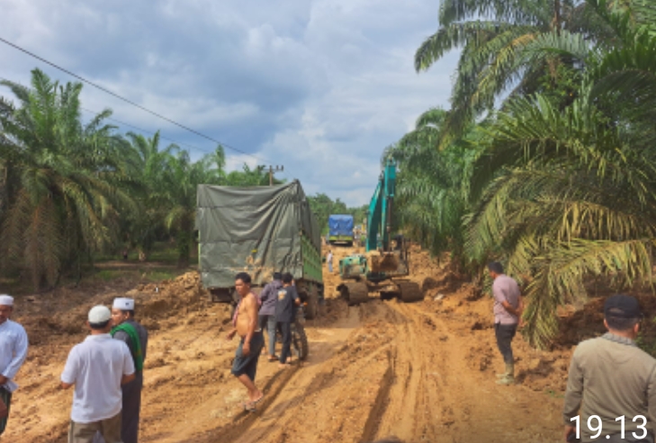 Pemkab Paluta Bersama Pihak Perusahaan Melakukan Survei Kondisi Jalan ...